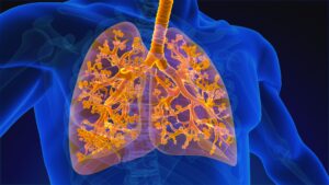 Unveiling the Hidden Dangers: The Truth About Fiberglass Insulation and ...
