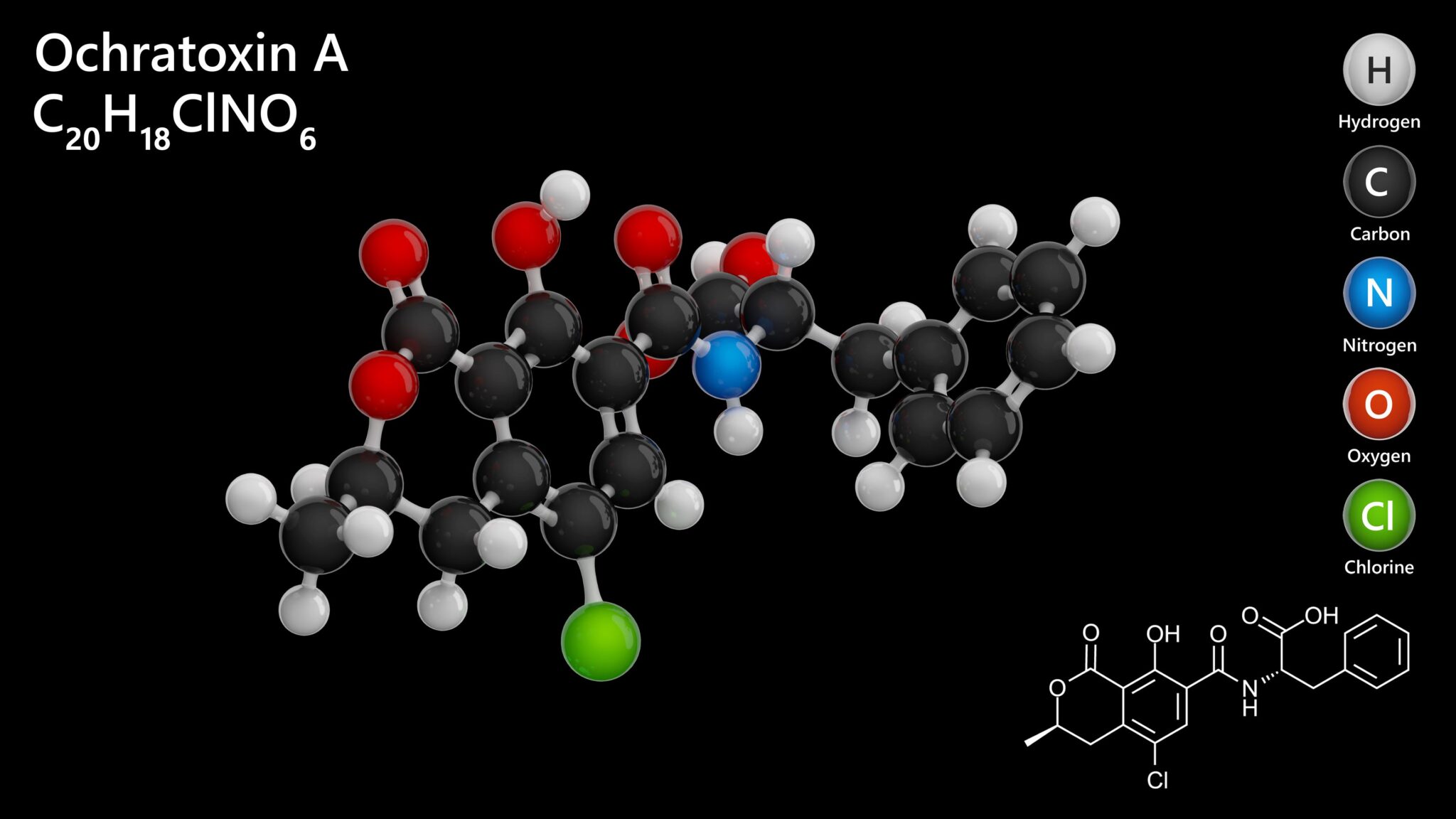 Understanding Ochratoxins and Ochratoxin A: The Mold Connection ...