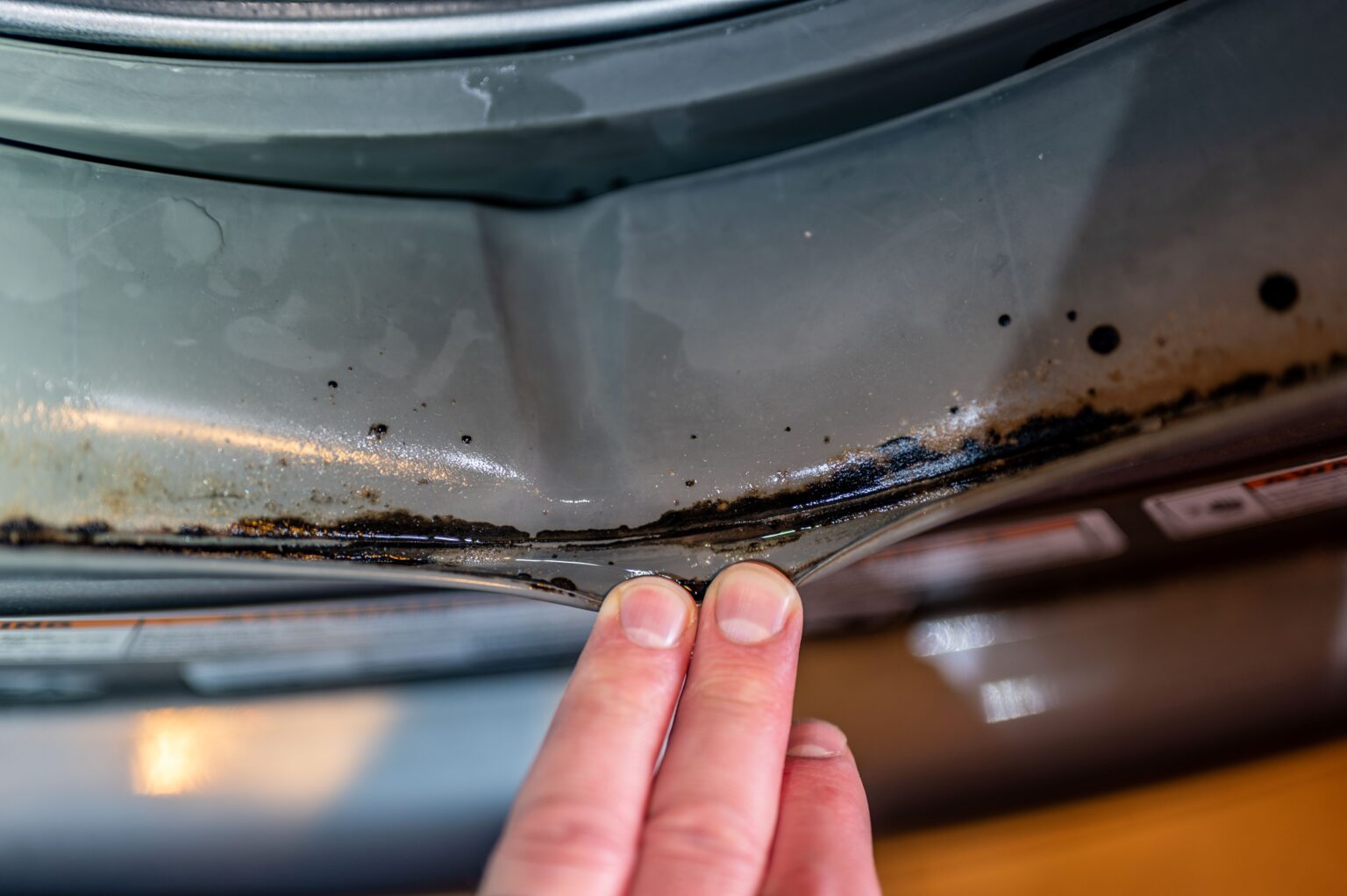 The Hidden Dangers of Front-Loading Washing Machines: Mold, Bacteria ...