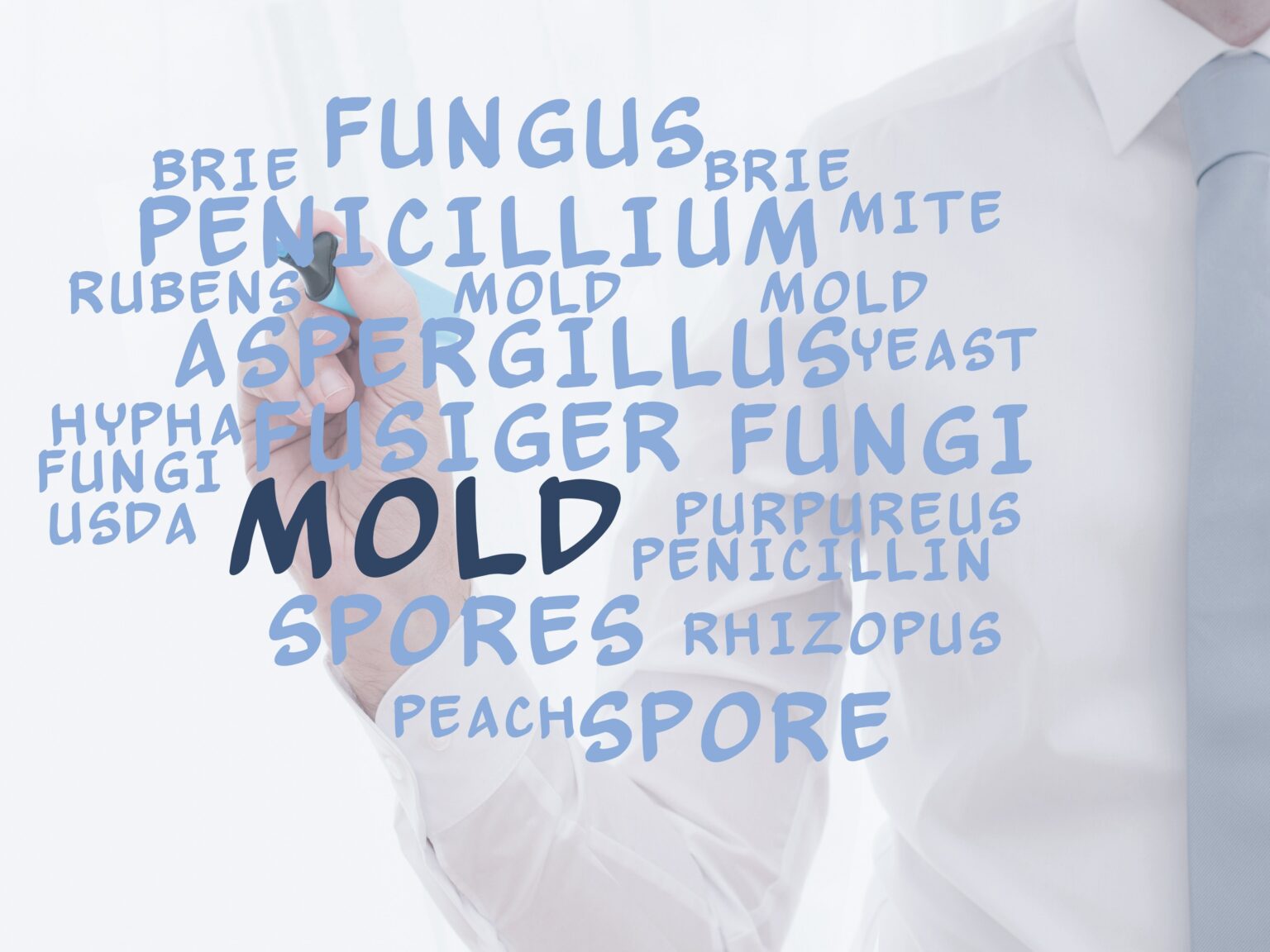 Understanding Mycotoxin Testing: What It Is, Who Needs It, and How ...