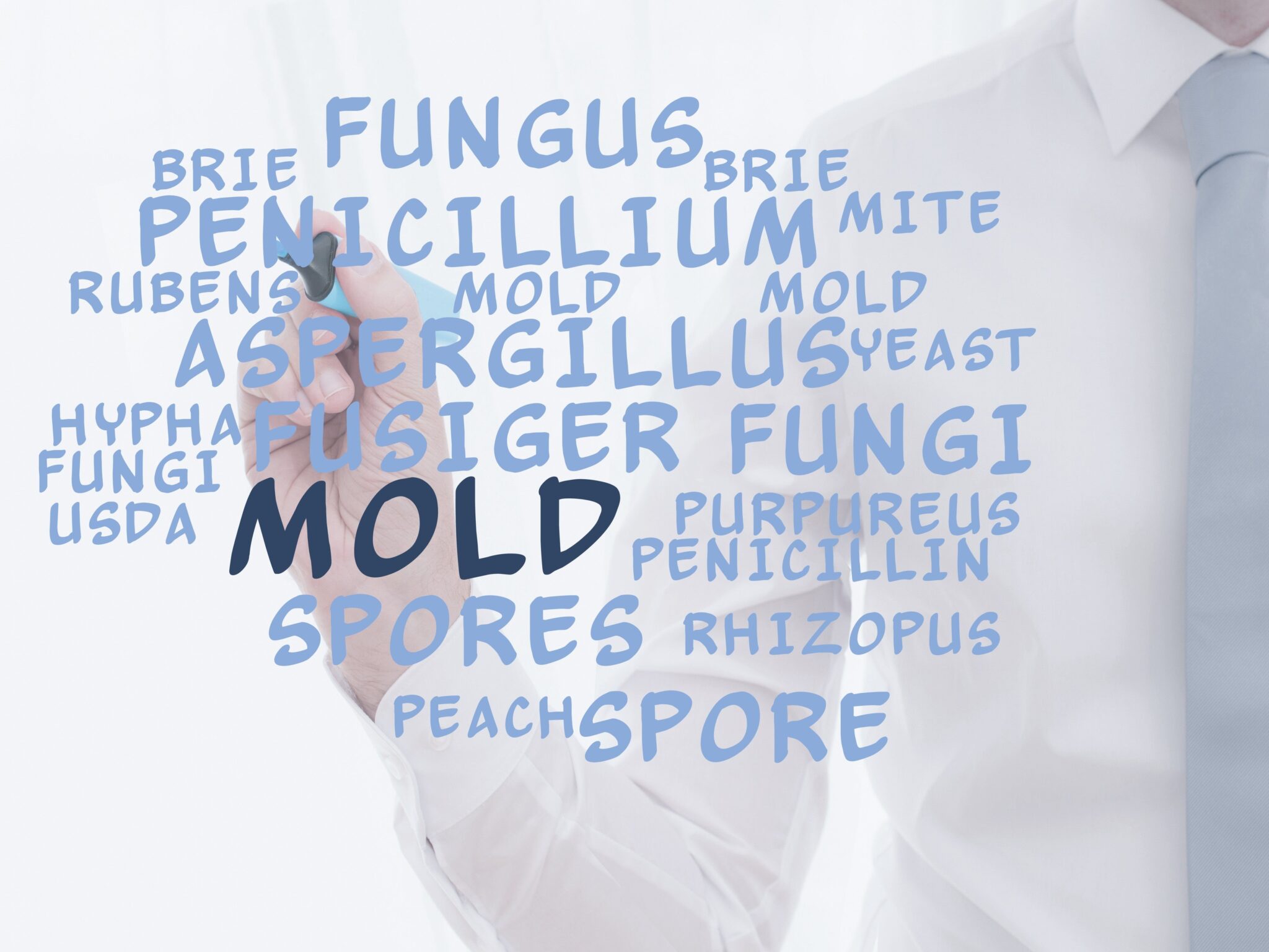Understanding Mycotoxin Testing: What It Is, Who Needs It, and How ...