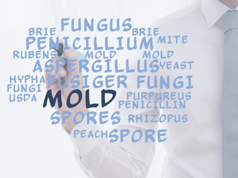 Understanding Mycotoxin Testing: What It Is, Who Needs It, and How ...